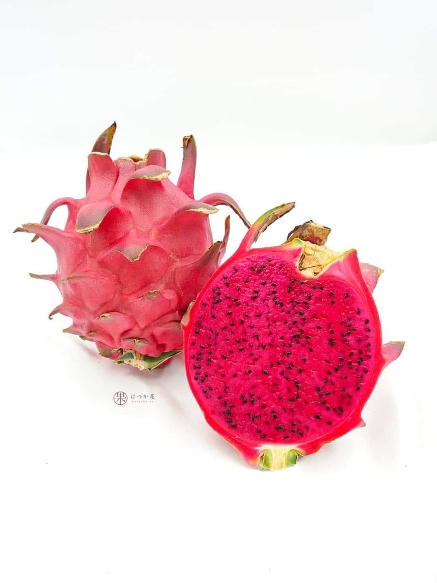 MY Red Dragon Fruits XXXXL – Hatsuka-Ya