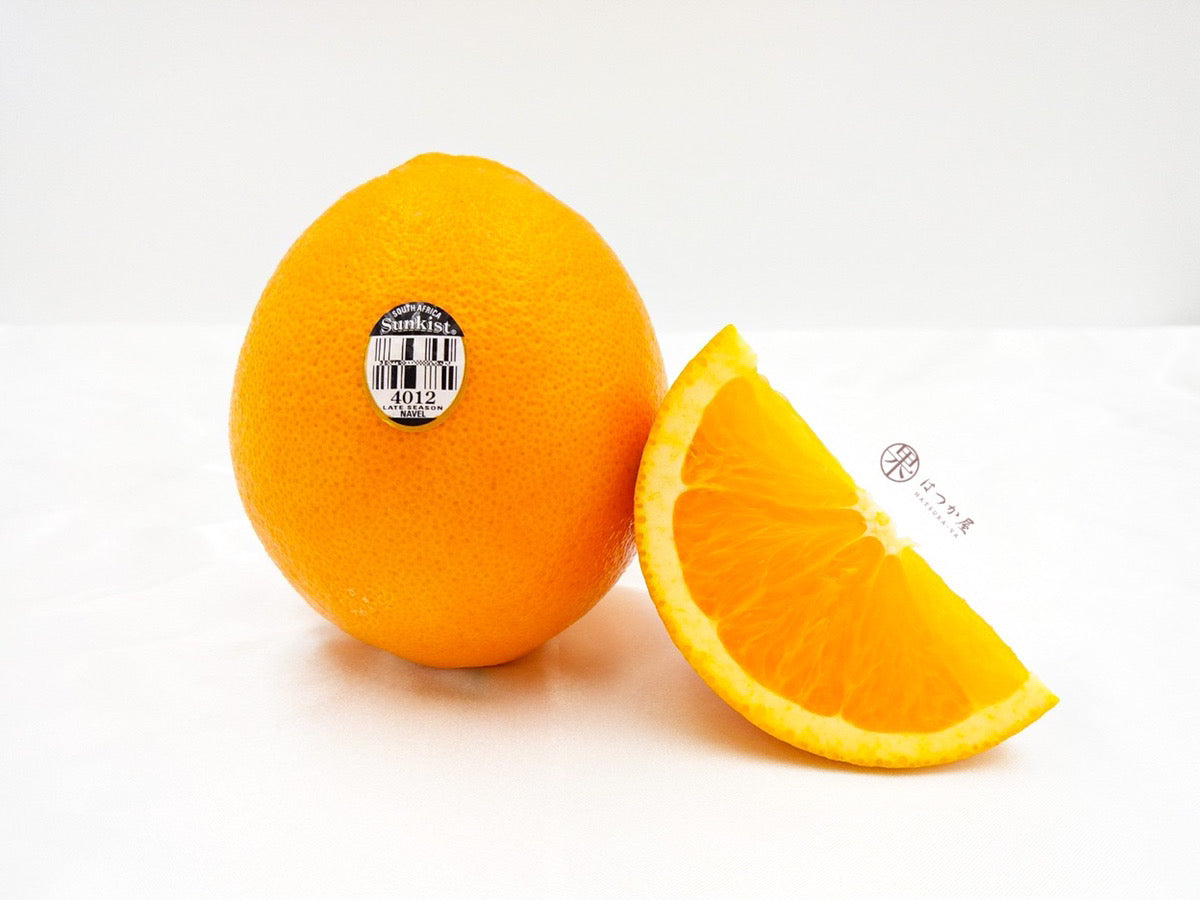 SA Sunkist Cambria Navel Orange – Hatsuka-Ya