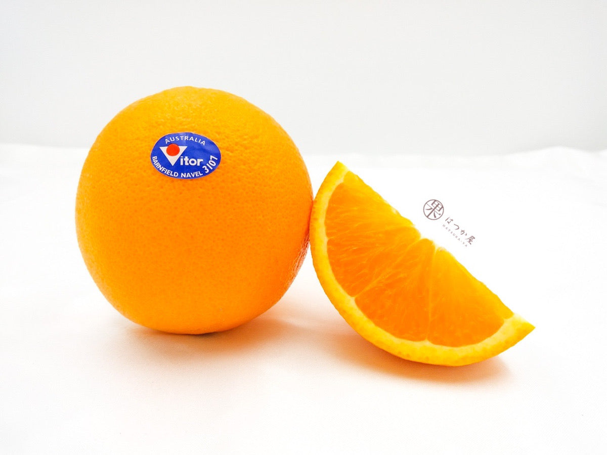 AU Vitor Barnfield Navel Orange 88' – Hatsuka-Ya