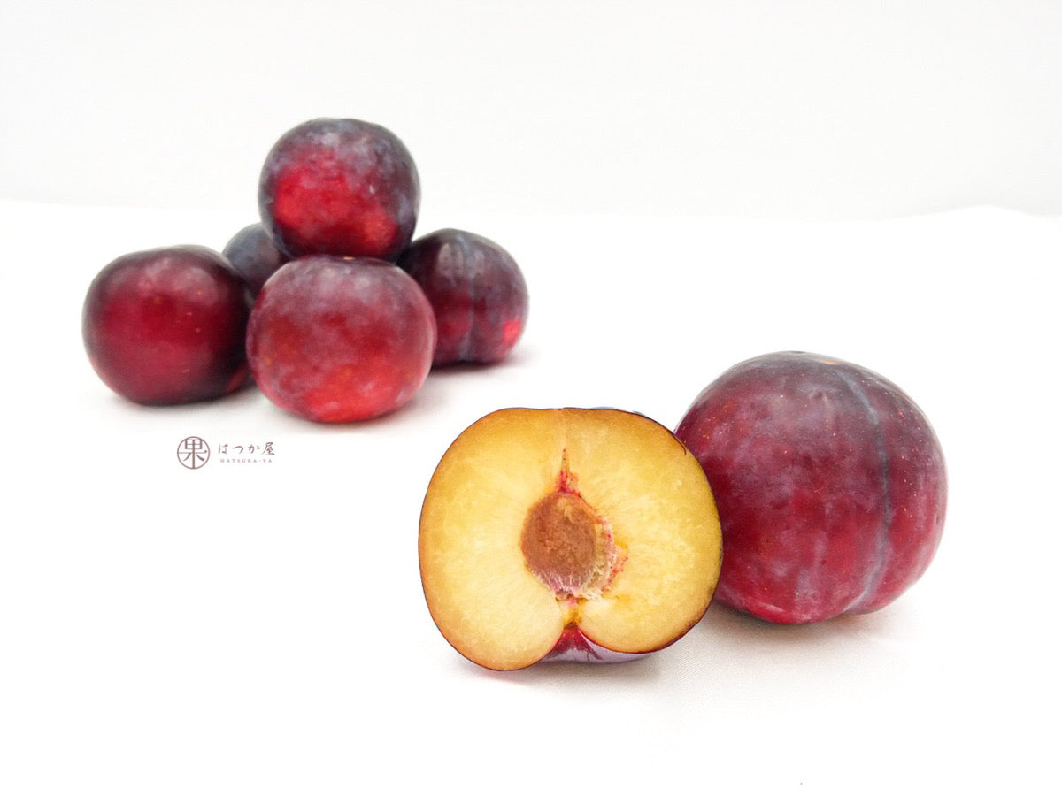 SP Angeleno Plum – Hatsuka-Ya