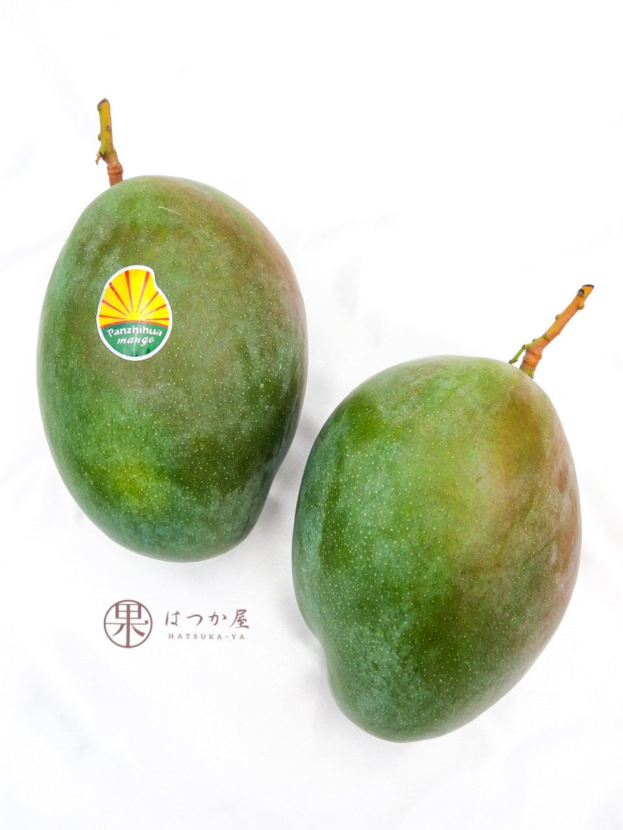 CN Kate Mango – Hatsuka-Ya