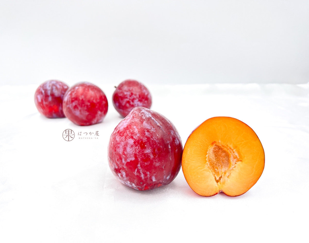 SA Flavor Fall Plum – Hatsuka-Ya