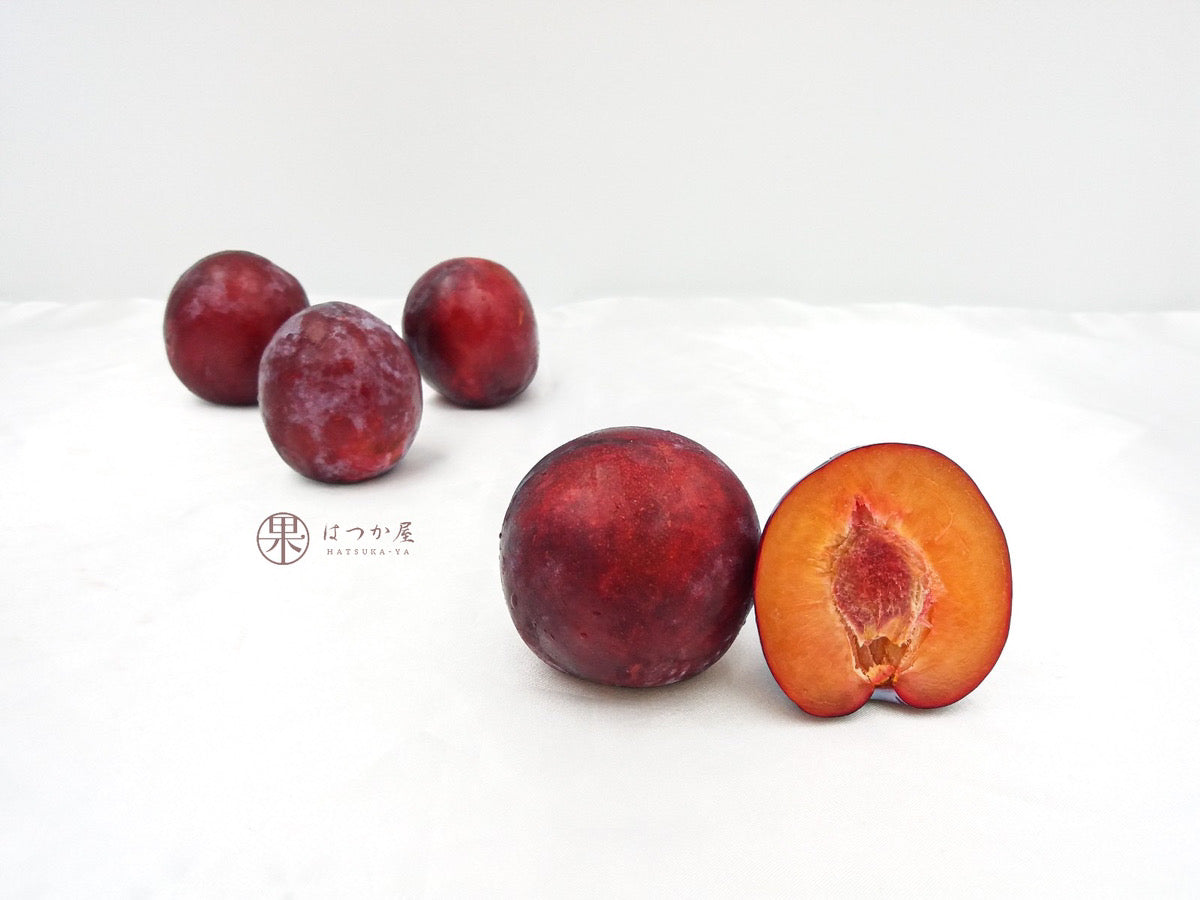AU Flavor Fall Plum – Hatsuka-Ya