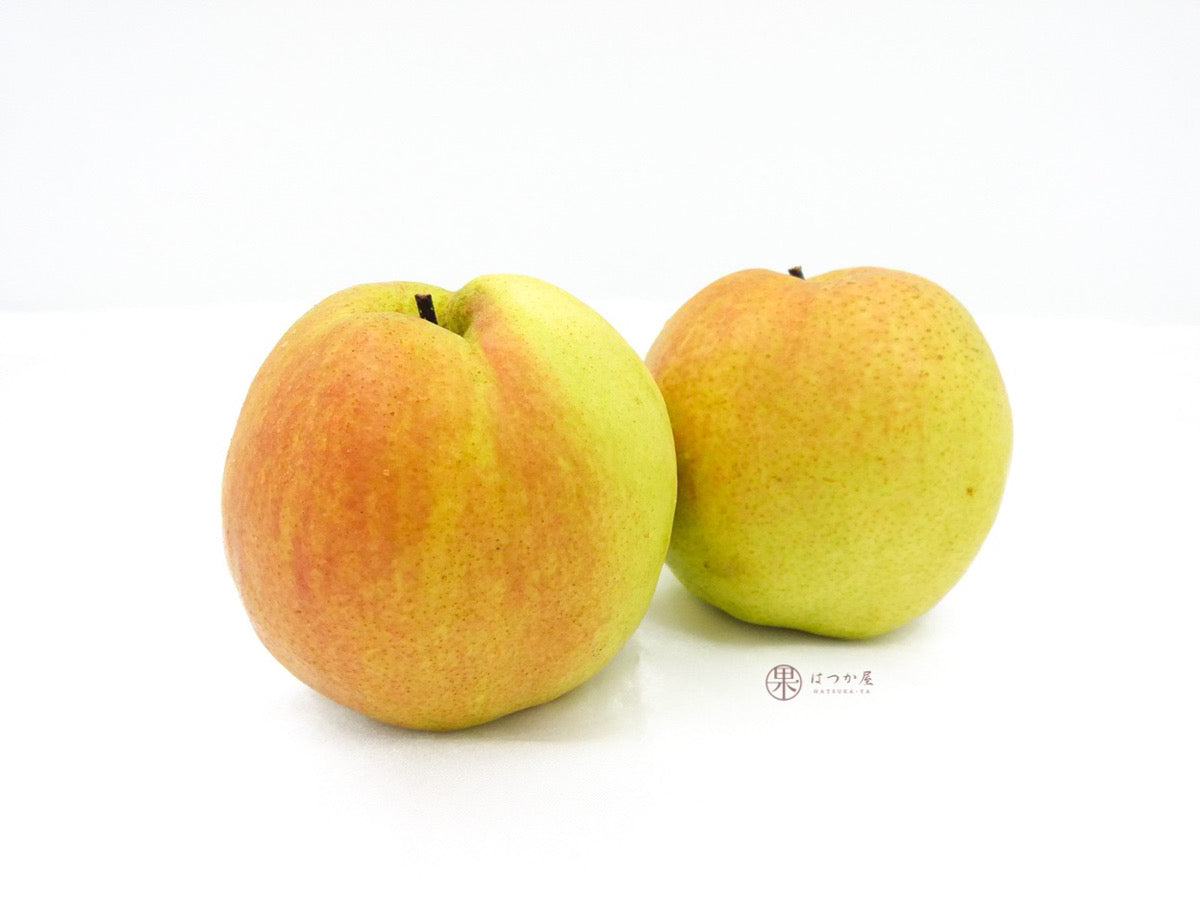 CN YuLu Fragrant Pear – Hatsuka-Ya