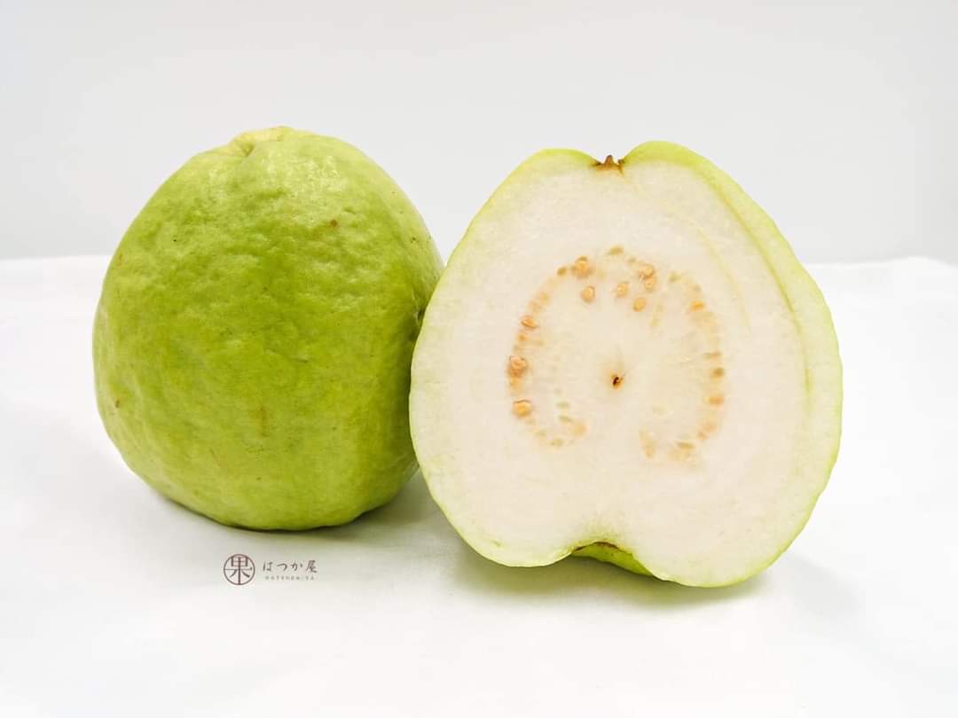 MY Guava Luo Hon M – Hatsuka-Ya