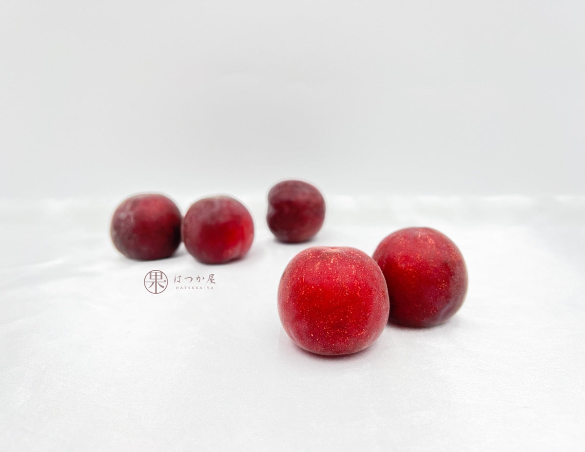 US Black Velvet Aprium – Hatsuka-Ya