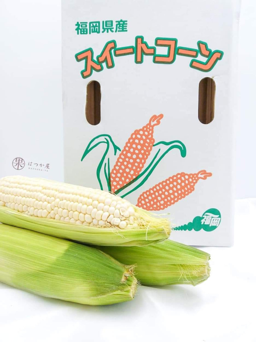 JP Fukuoka Sweet White Corn – Hatsuka-Ya