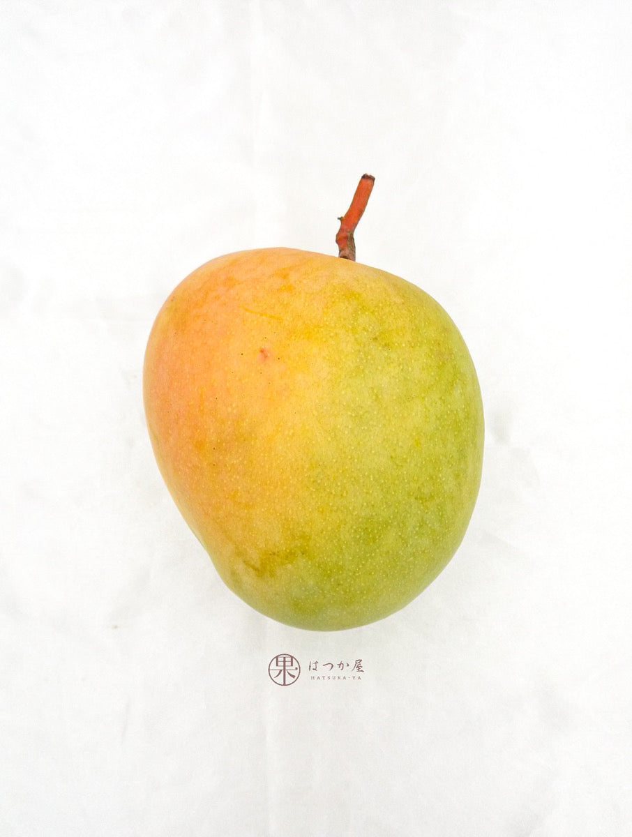 TH R2E2 Mango – Hatsuka-Ya