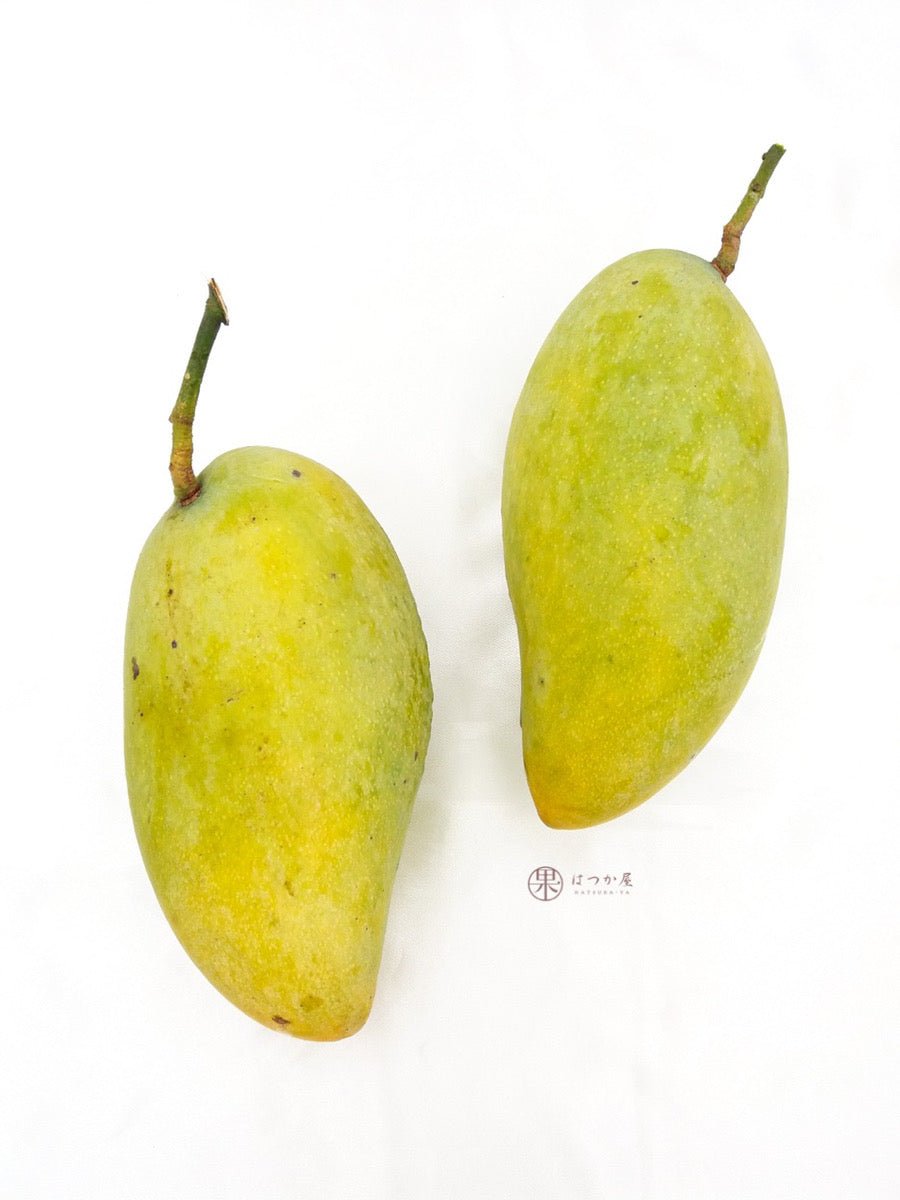 TH Tai Zi Mango – Hatsuka-Ya