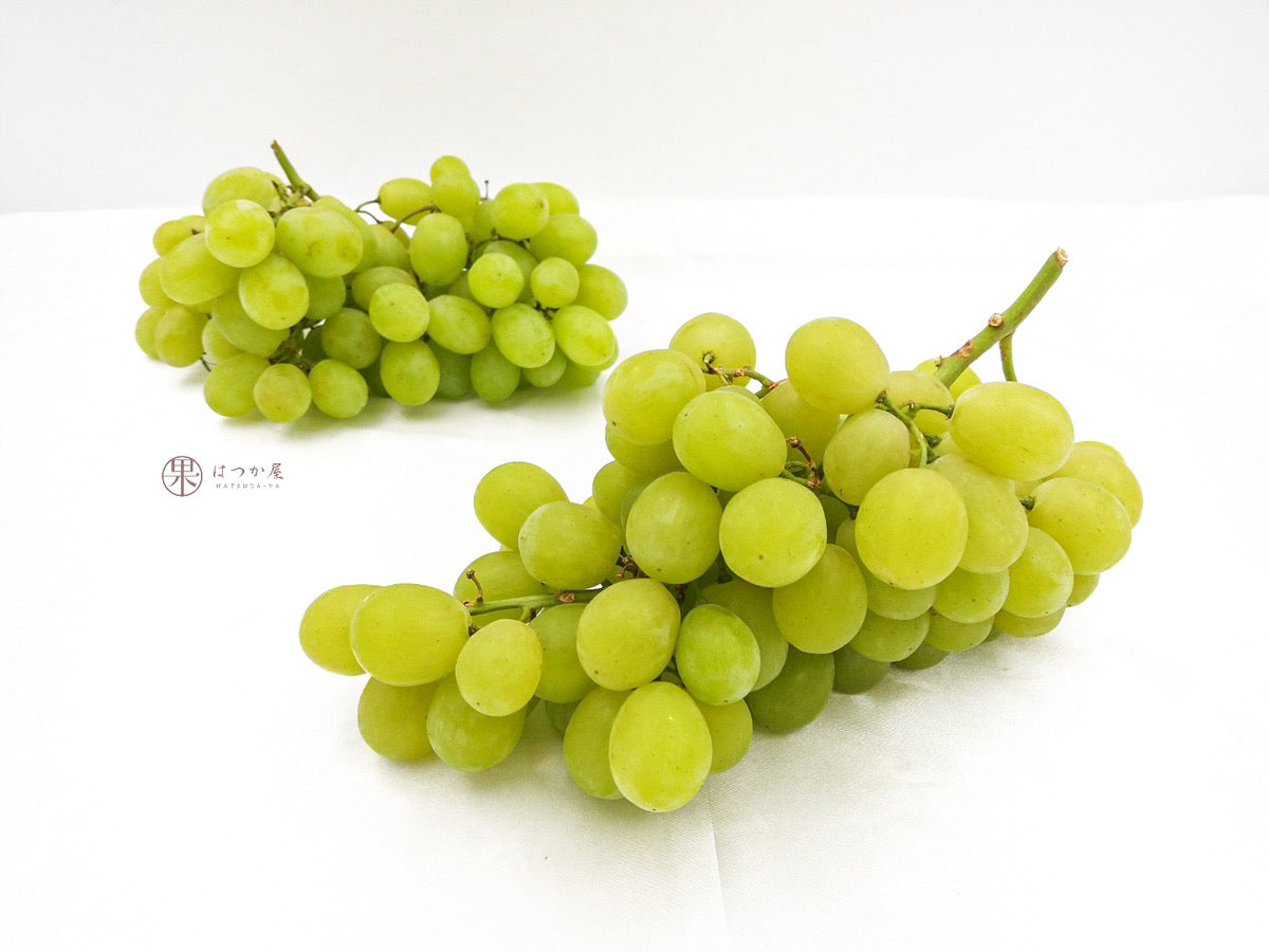 SA Early Sweet Green Grapes – Hatsuka-Ya