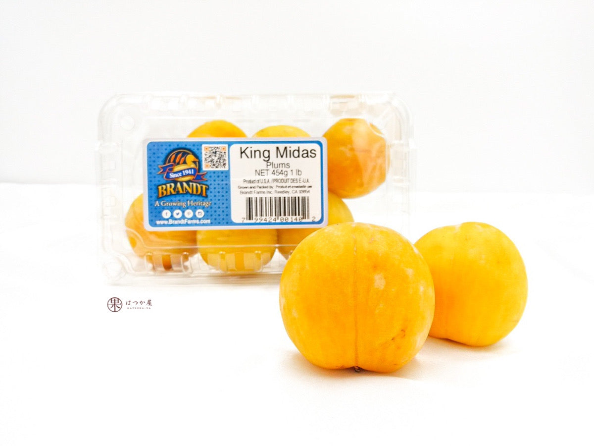 US King Midas Plum – Hatsuka-Ya