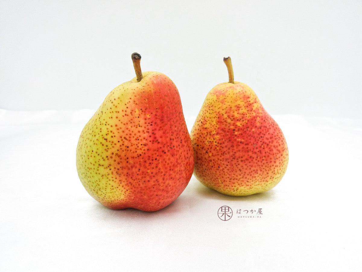SA Forella Pear – Hatsuka-Ya