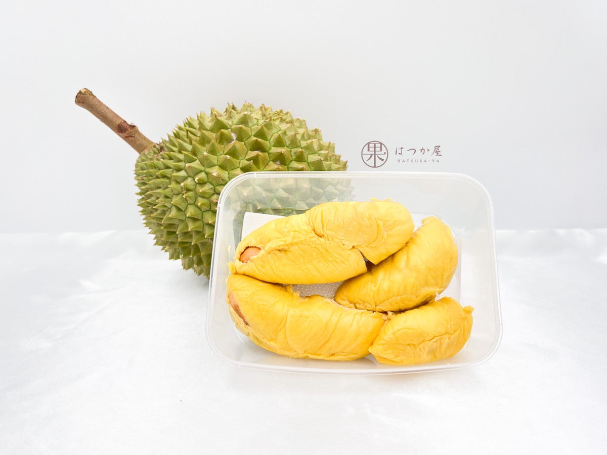 MY RAUB Durian Musang King – Hatsuka-Ya
