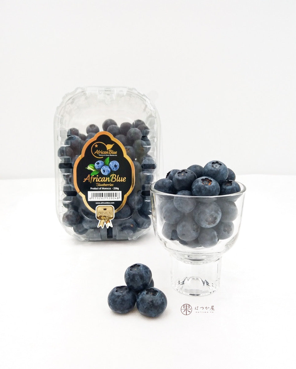 MA Africanblue Blueberries (250g) – Hatsuka-Ya
