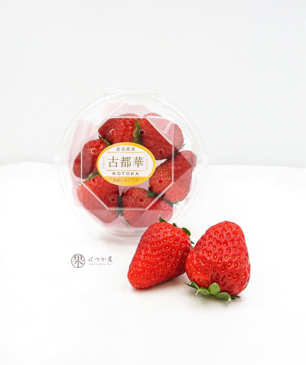 JP Nara Cup Strawberry Lab Kotoka – Hatsuka-Ya