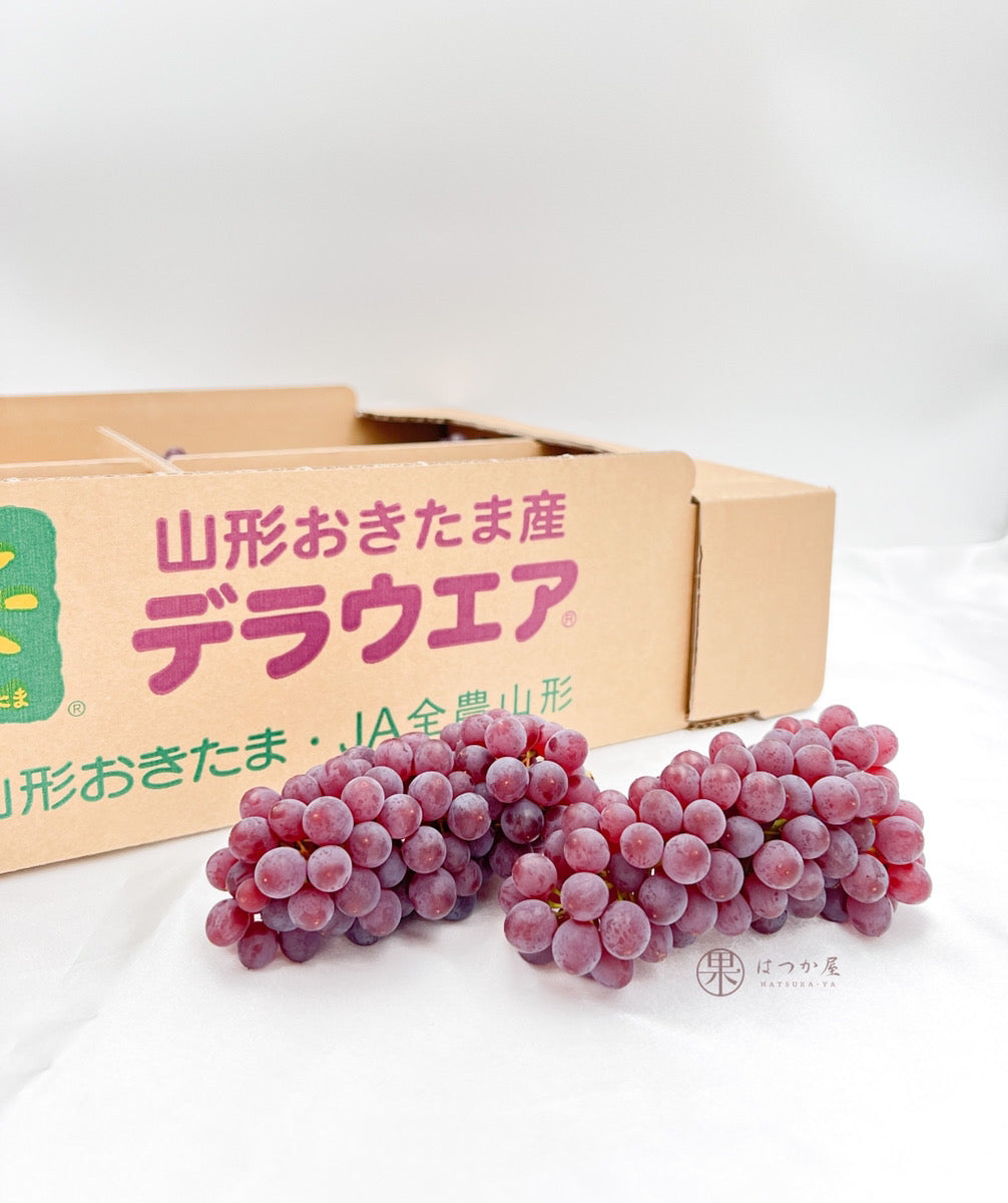 JP Yamagata Delaware Grapes – Hatsuka-Ya