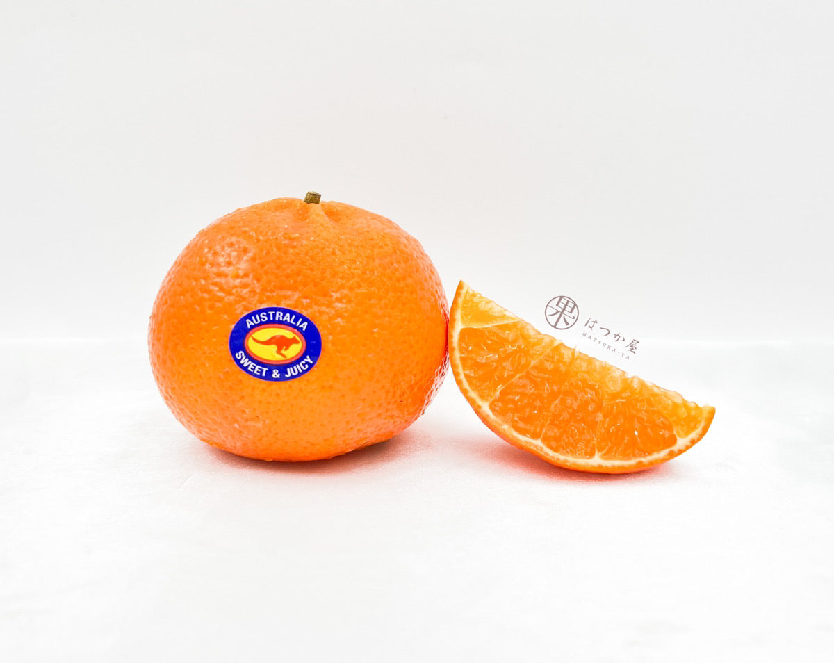 AU Honey Murcott – Hatsuka-Ya